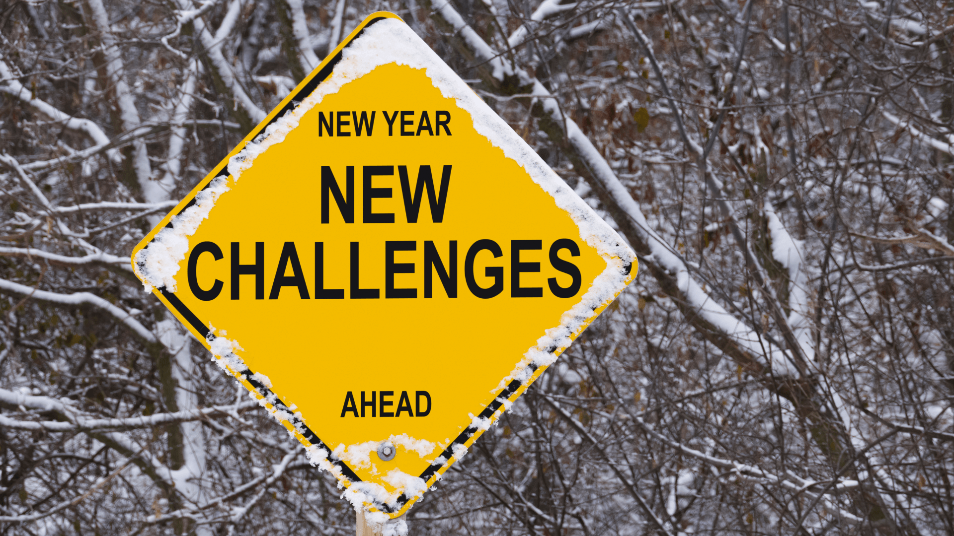 new year, new challenges - IA Transforms